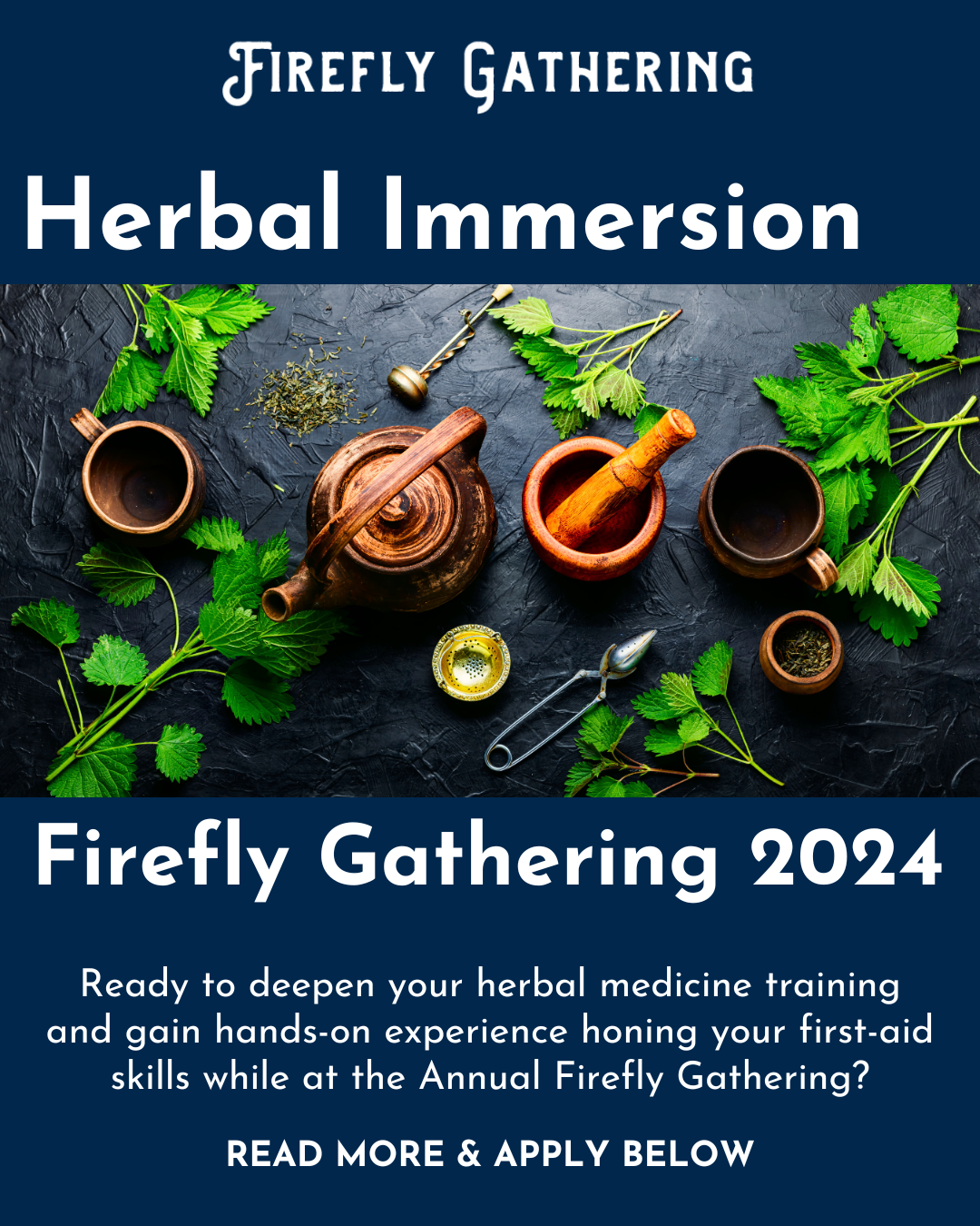 Blog - Firefly Gathering